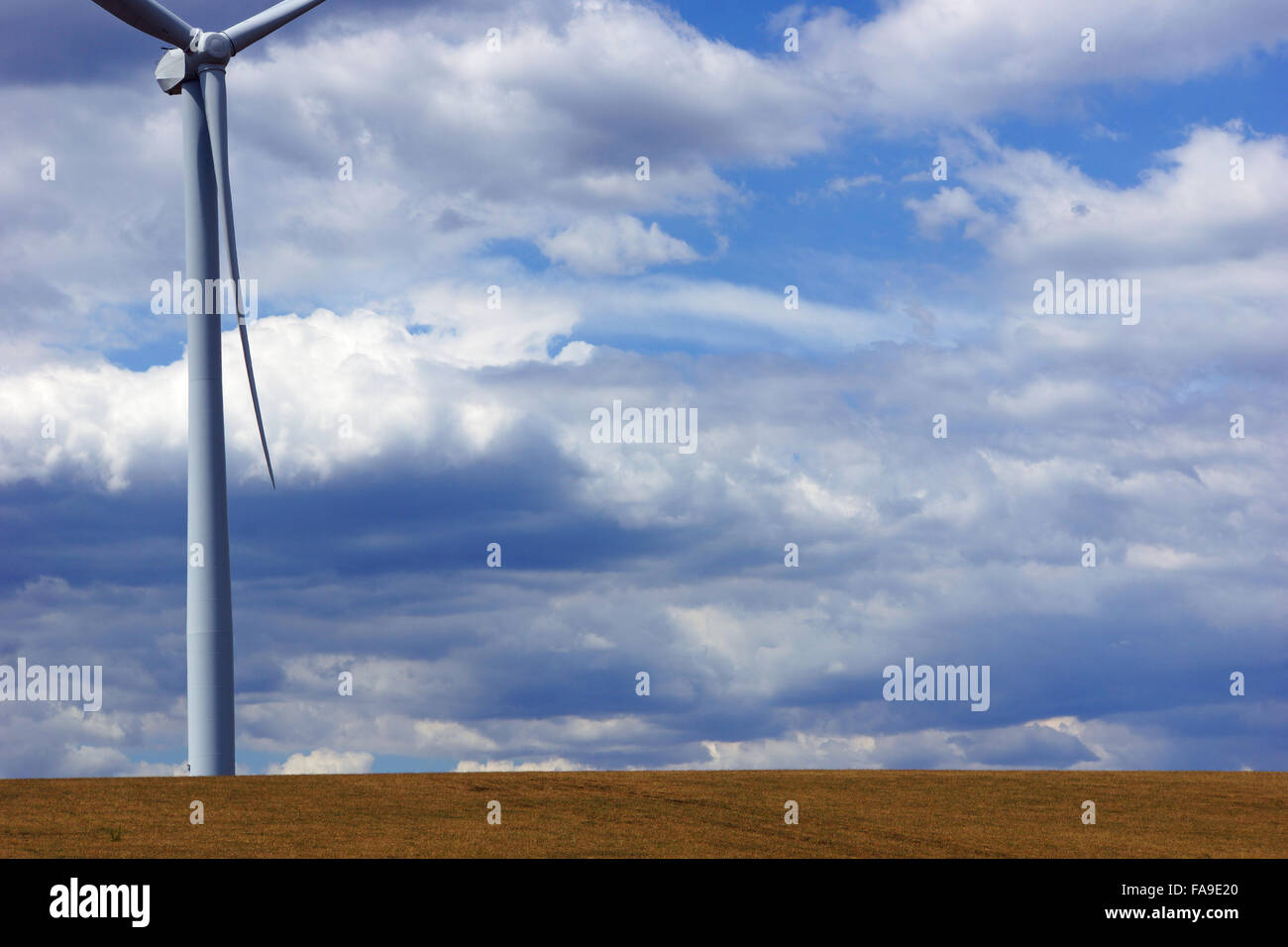 Wind turbine generator and alternative energy, eco wind farm technology ...