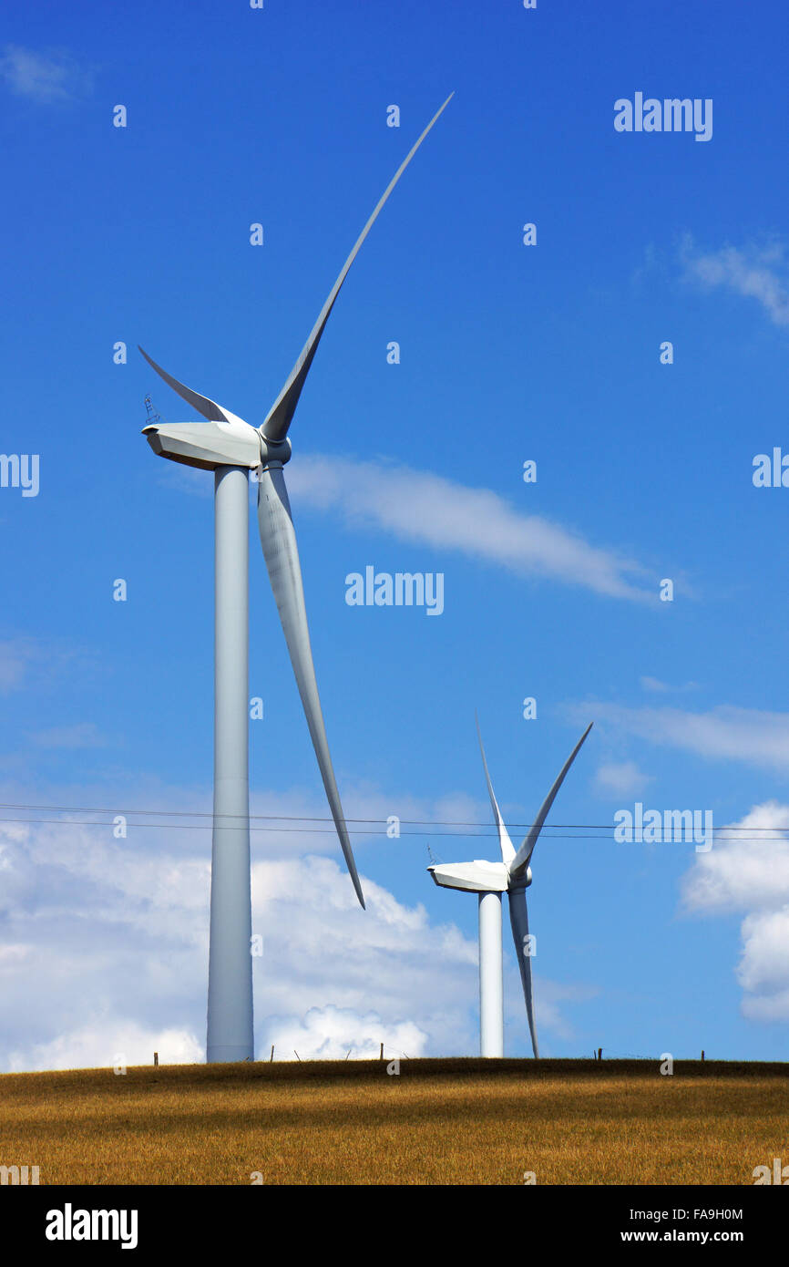 Wind turbine generator and alternative energy, eco wind farm technology ...