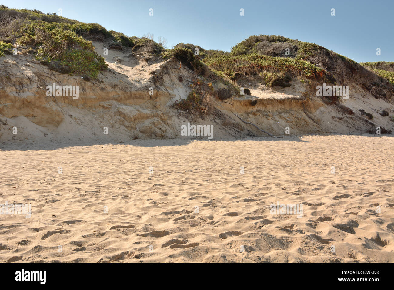 Beach and dunes Stock Photo - Alamy