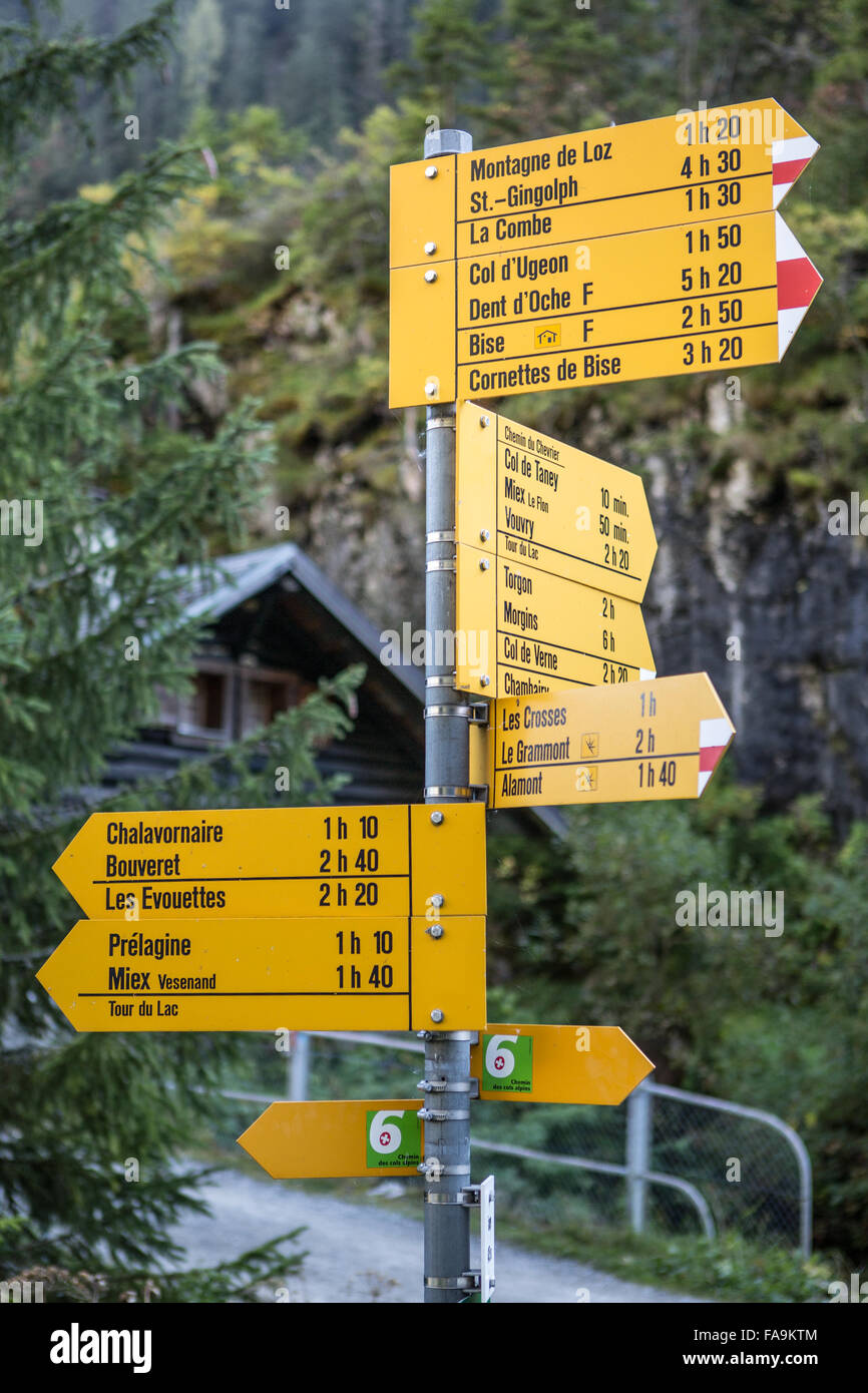 Too many directions Stock Photo - Alamy