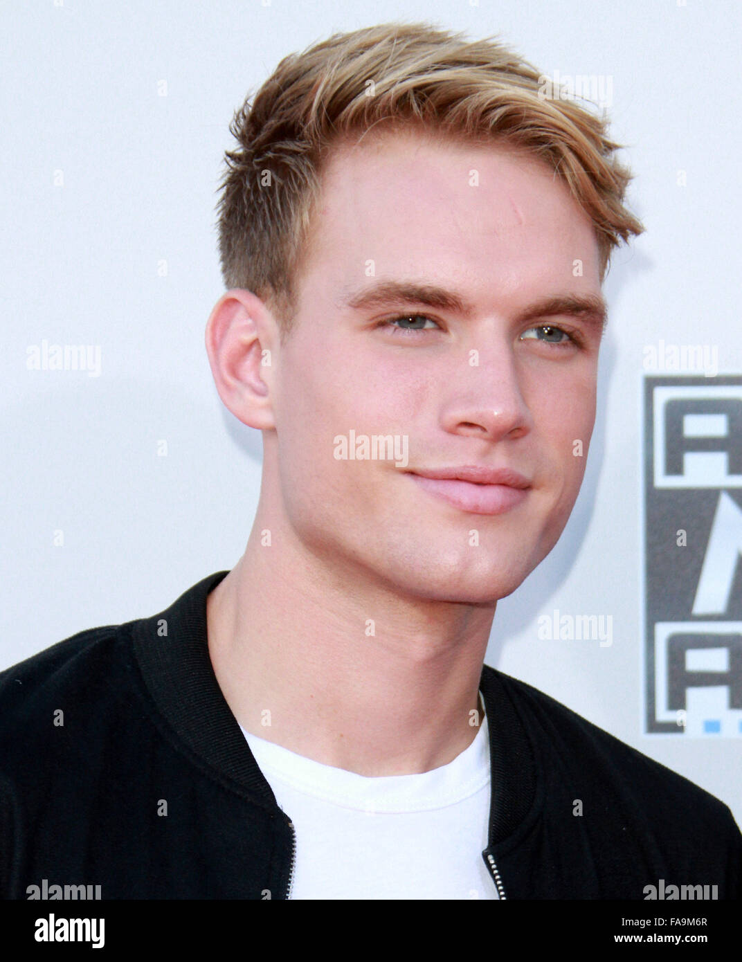 American Music Awards 2015 - Arrivals held at Microsoft Theatre ...