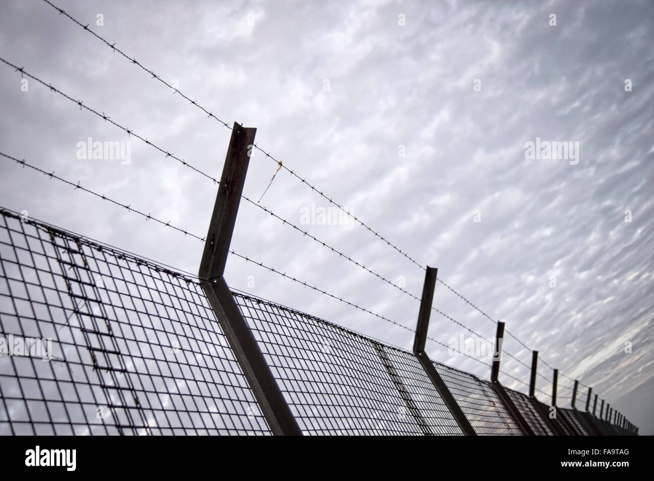 Barbed wire border hi-res stock photography and images - Alamy