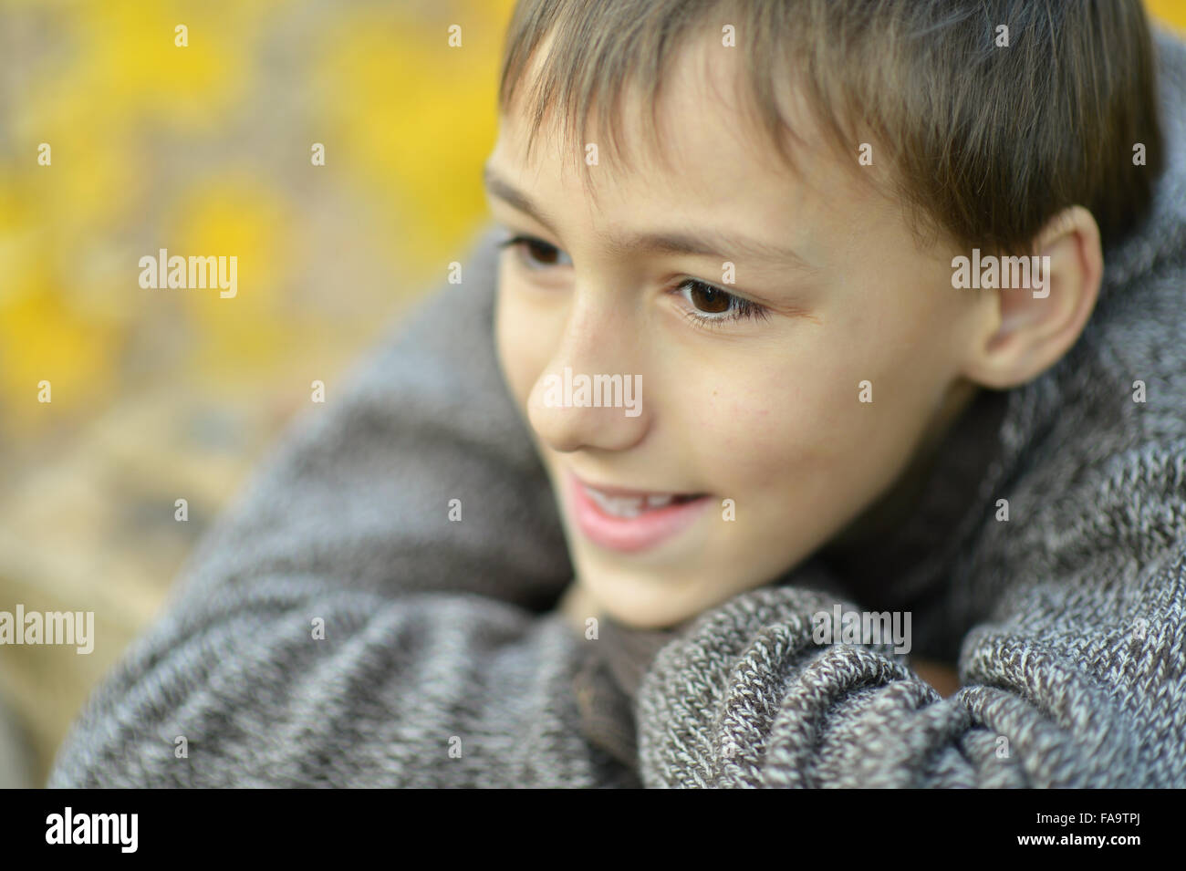 Portrait of happy boy Stock Photo - Alamy