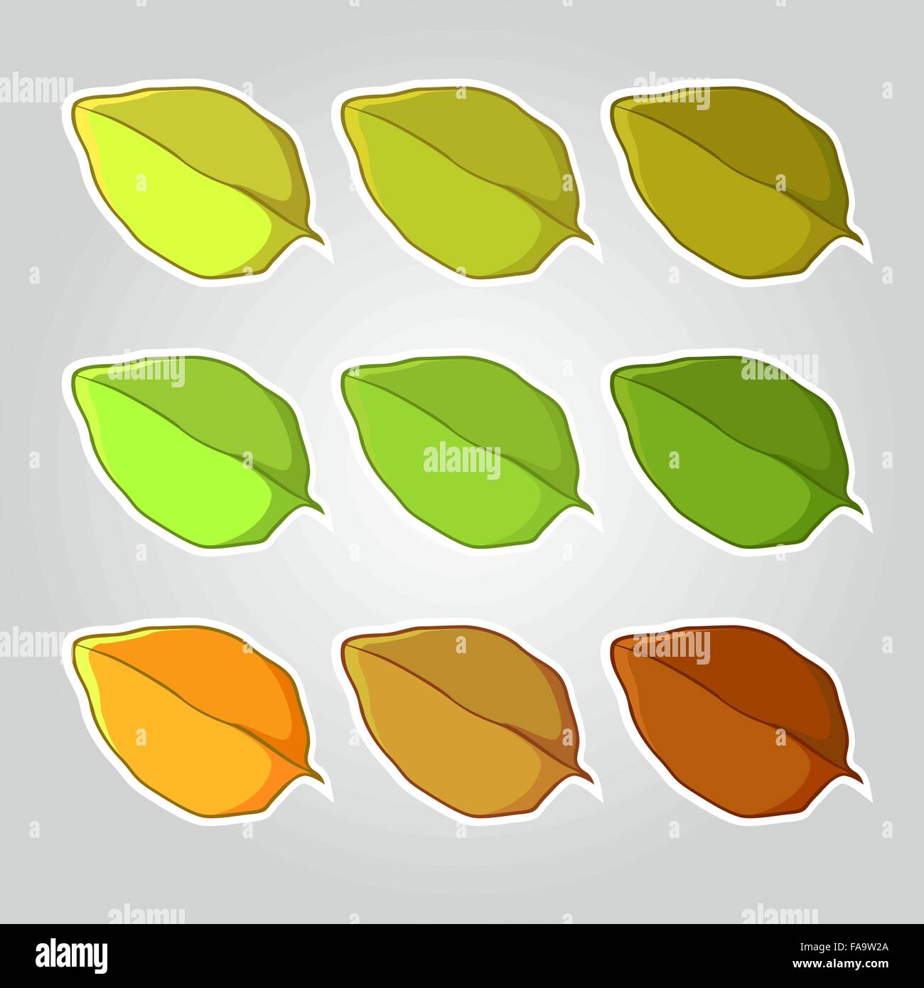Set of leaves Stock Vector Image & Art - Alamy