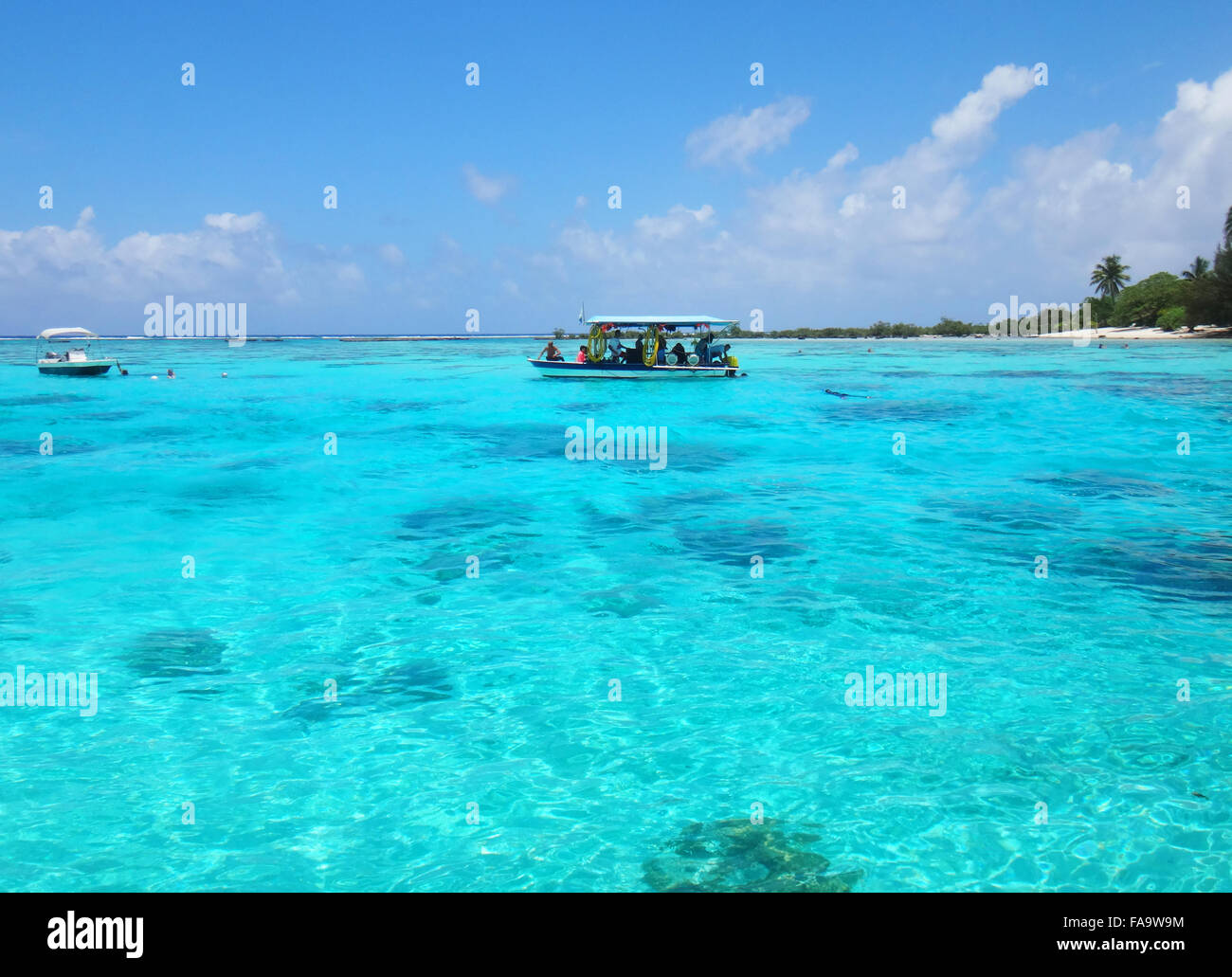 View of Moorea from the lagoon, French Polynesia Stock Photo - Alamy