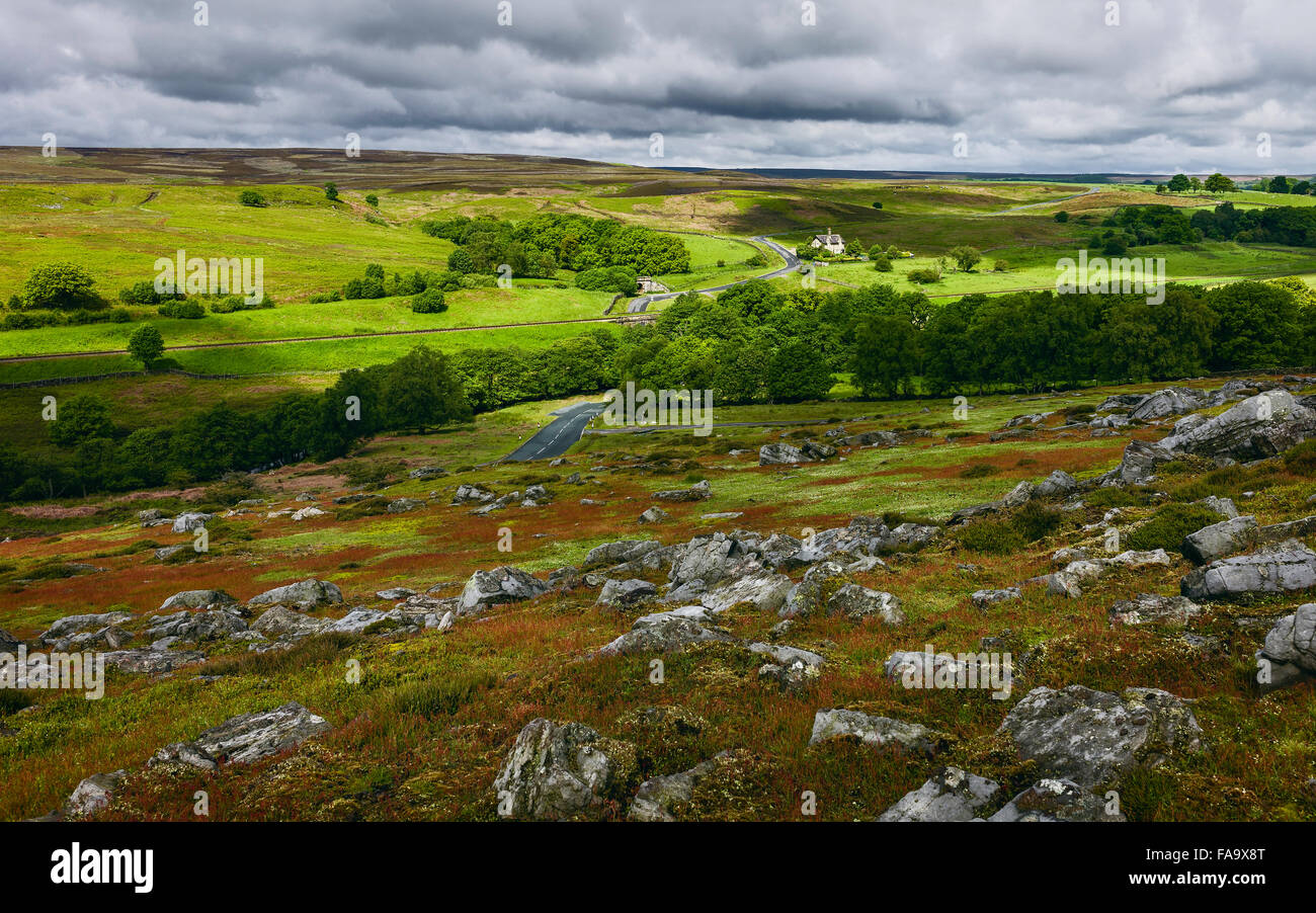 The North York Moors national park in spring with flowering grasses ...
