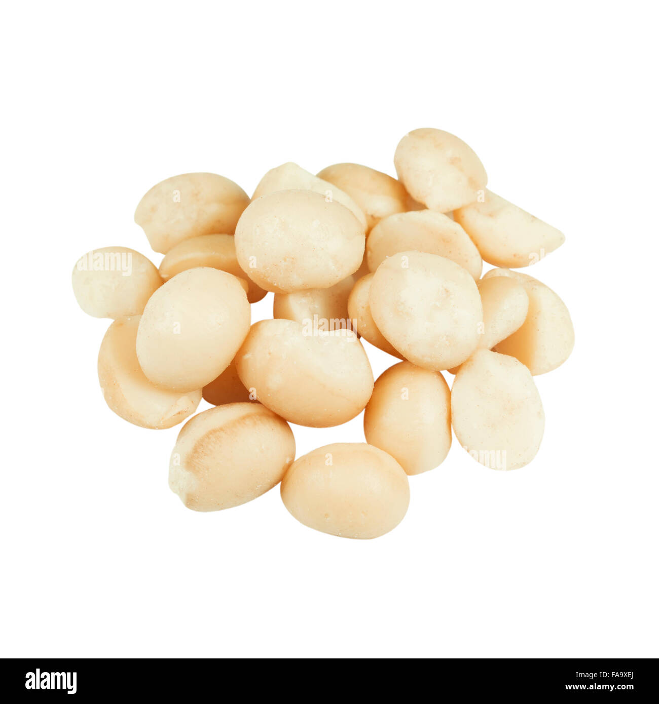 Macadamia nuts isolated on white background Stock Photo - Alamy