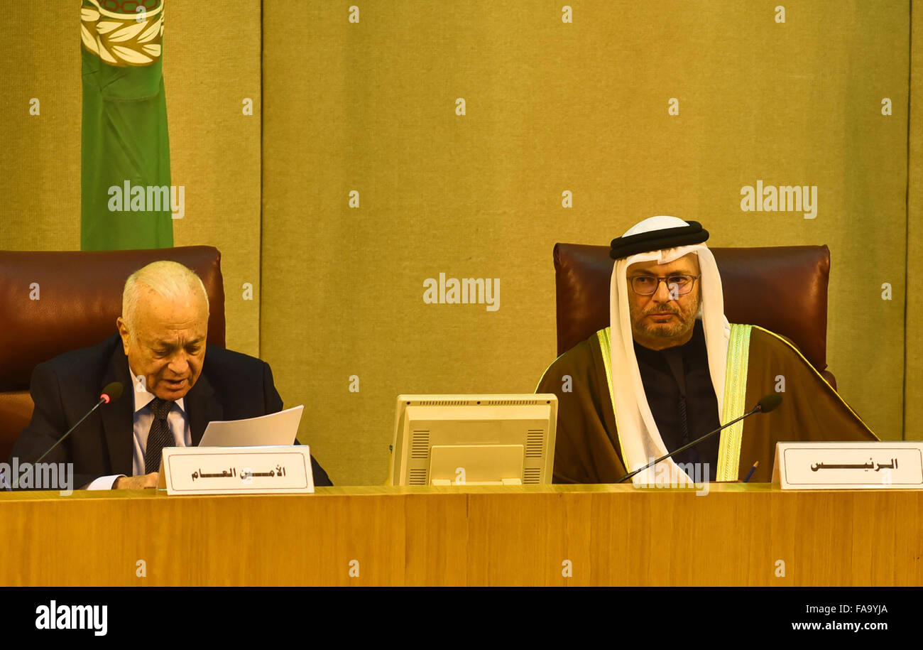 Cairo, Egypt. 24th Dec, 2015. Secretary-General of the Arab League ...