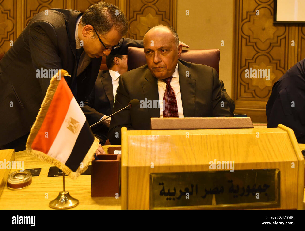 Cairo, Egypt. 24th Dec, 2015. Egyptian Foreign Minister Sameh Shoukri ...