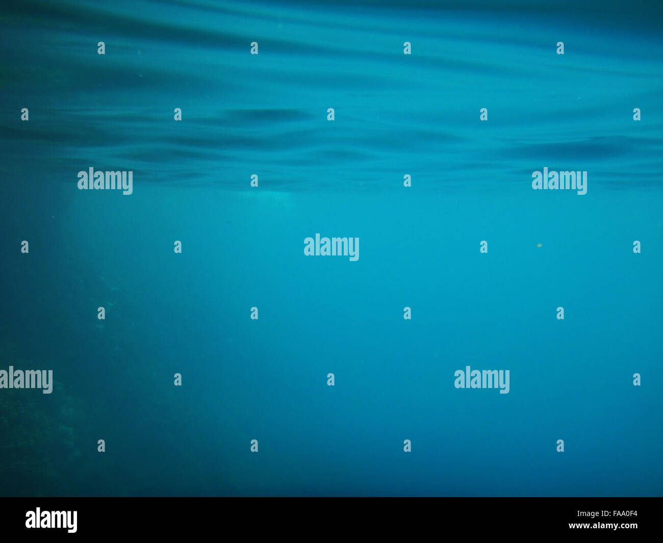 The edge of the reef, Cook's Bay, Moorea French Polynesia Stock Photo ...