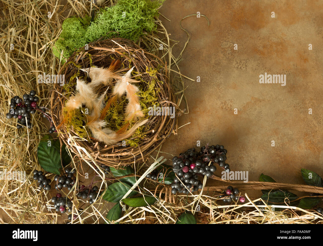 Border frame image made of berries, spring leaves and a bird's nest ...