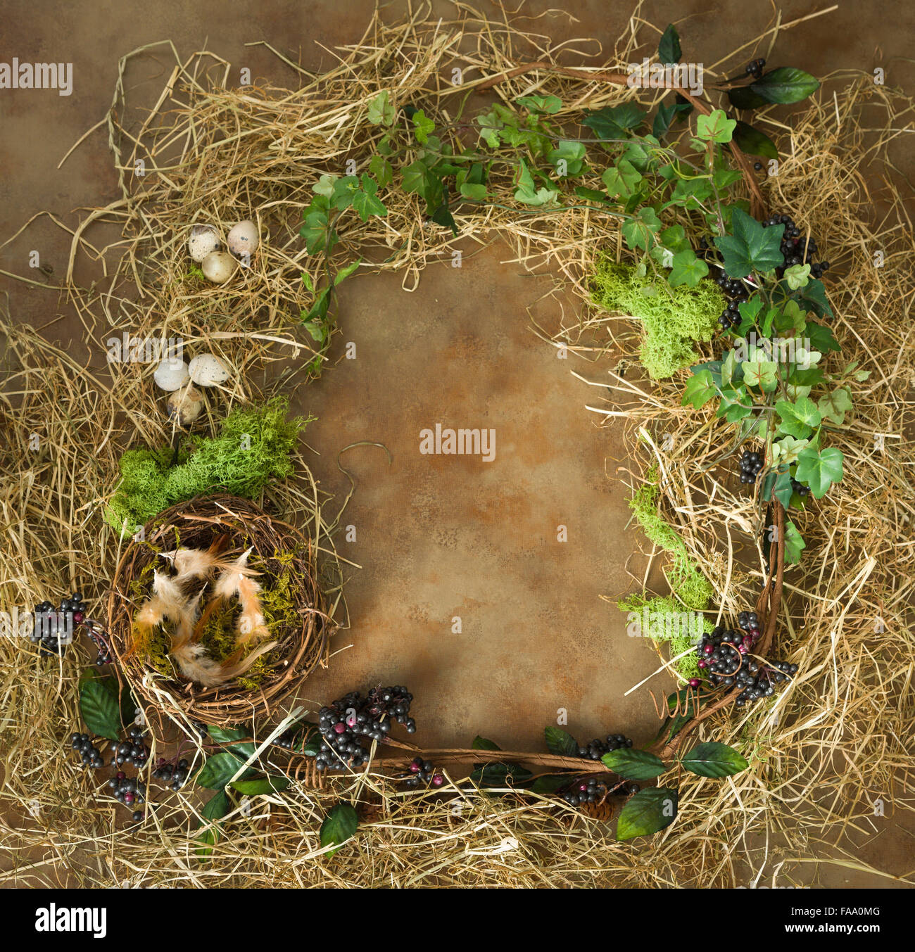 Border frame image made of berries, spring leaves and a bird's nest ...