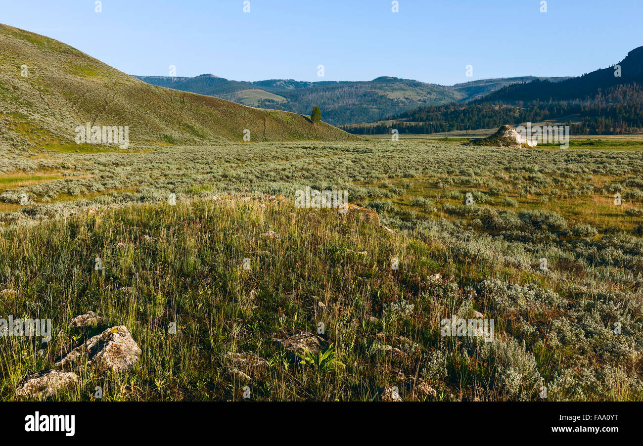 Soda Butte (extinct geyser) near the creek of the same name and ...