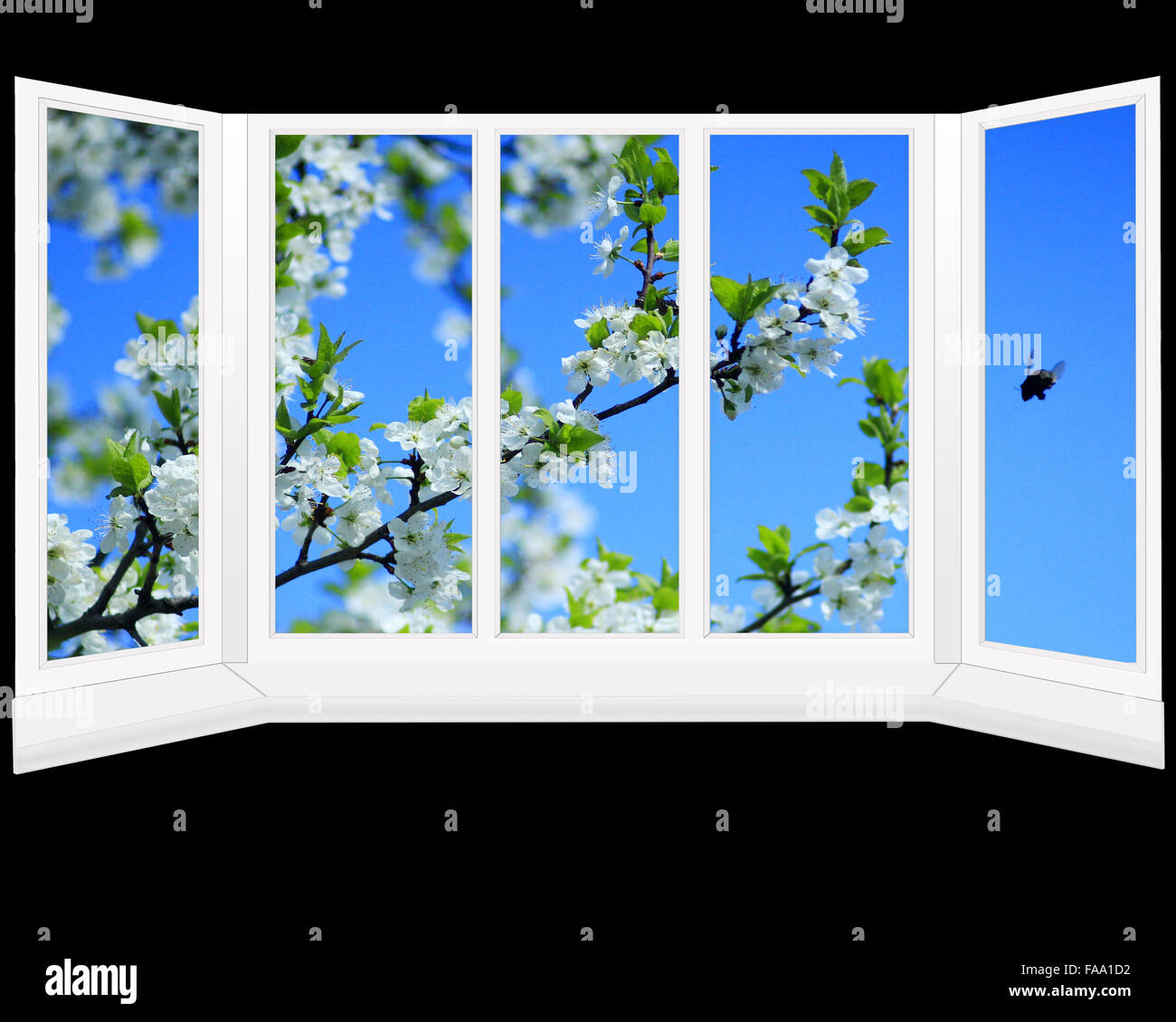 window overlooking the garden with blossoming plum-tree isolated on ...