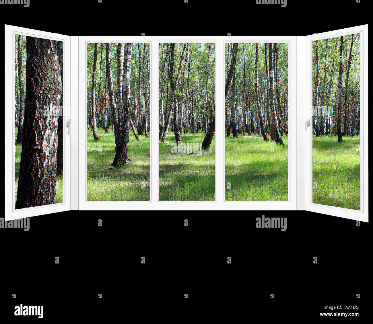 plastic windows overlooking the grove in the spring isolated on the ...