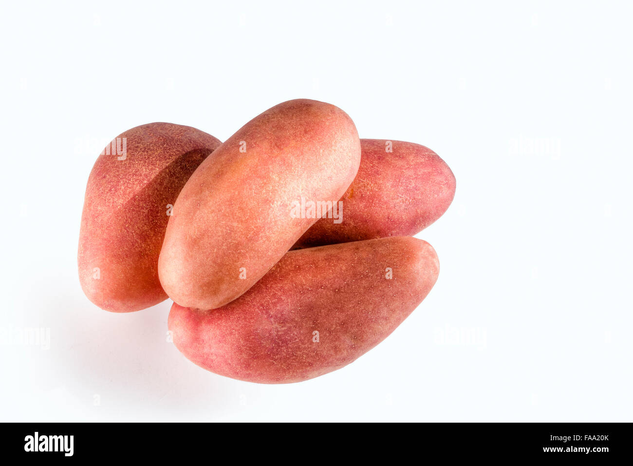 Four large red potatoes are heaped against a white background Stock ...