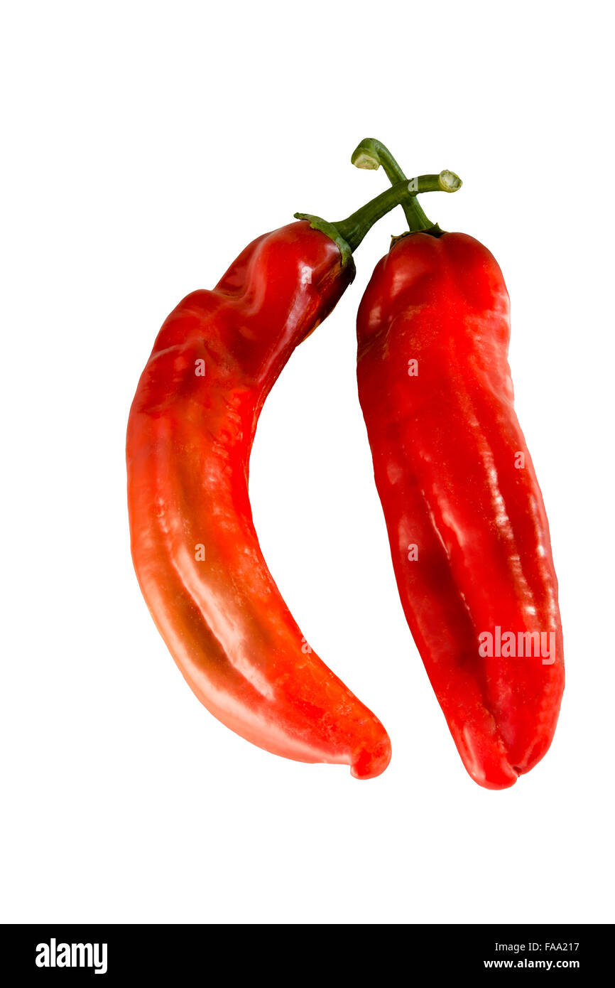 The unusually long and thin pepper with intense flavor. Bright, glossy ...