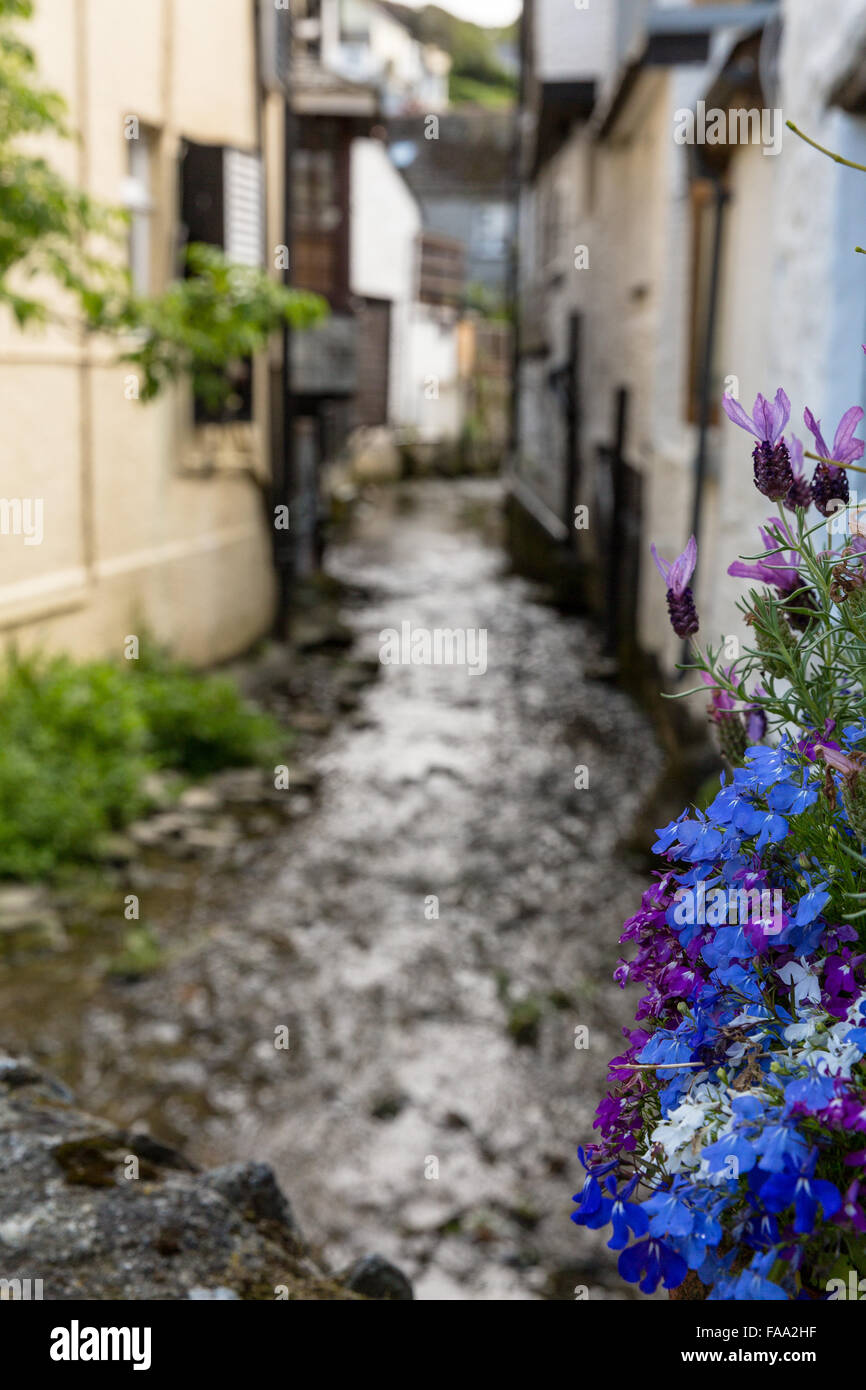 Tiny lanes in Polperro, Cornwall, UK Stock Photo - Alamy
