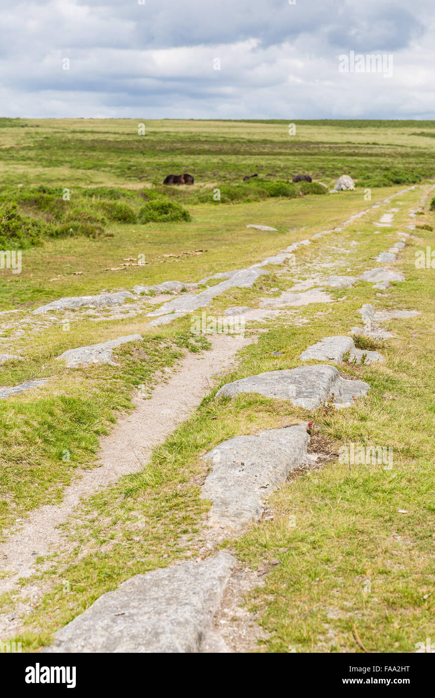 Haytor Granite Tramway, Dartmoor Park, Devon, UK Stock Photo - Alamy
