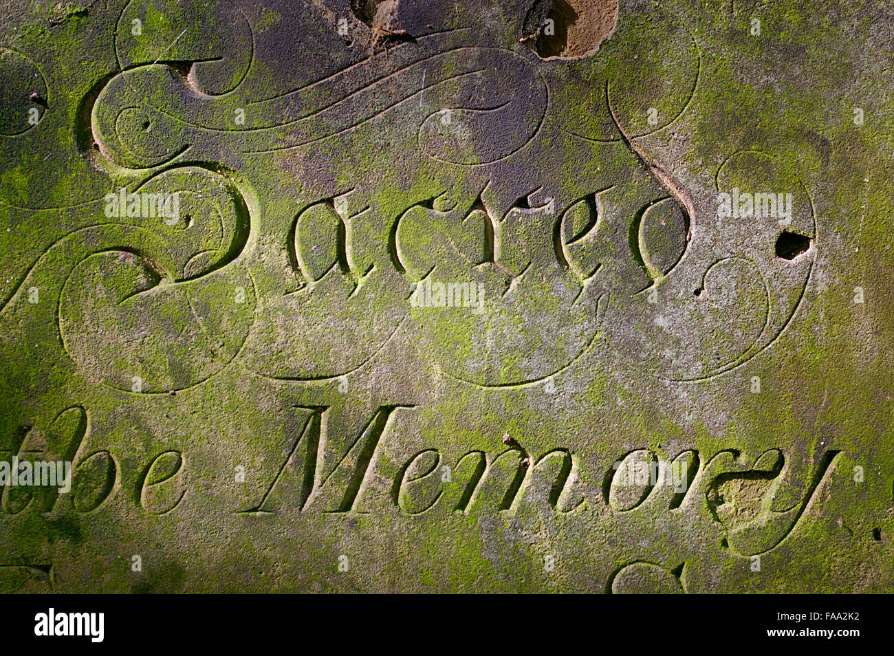 Old gravestone detail with moss 1800s English Stock Photo - Alamy