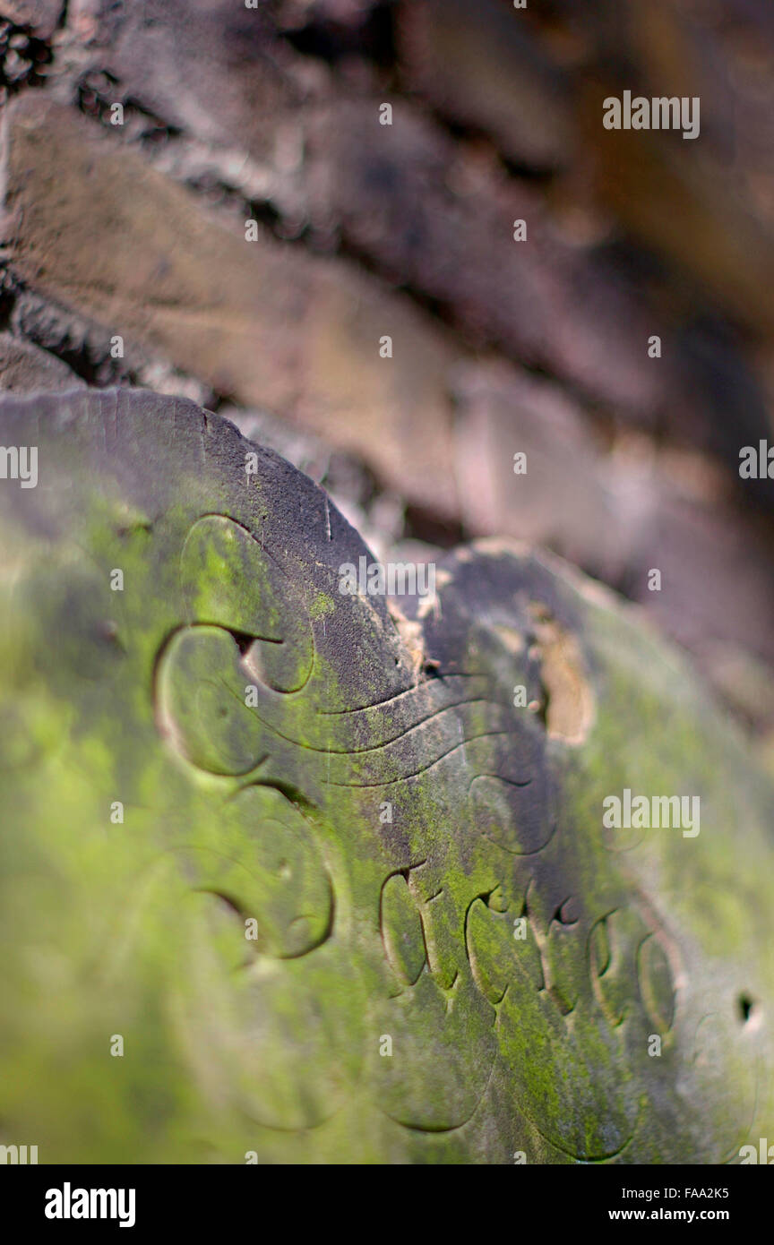 Old gravestone detail with moss 1800s English Stock Photo - Alamy