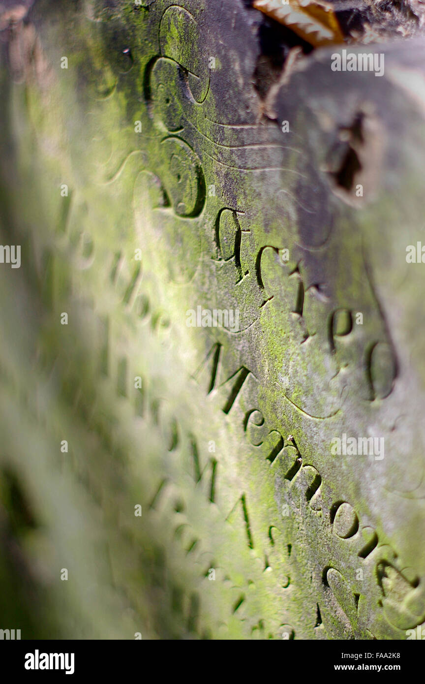 Old gravestone detail with moss 1800s English Stock Photo - Alamy