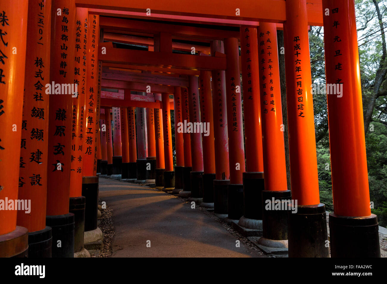 Detail of the names engraved on the torii of Fushimi Inari Taisha ...