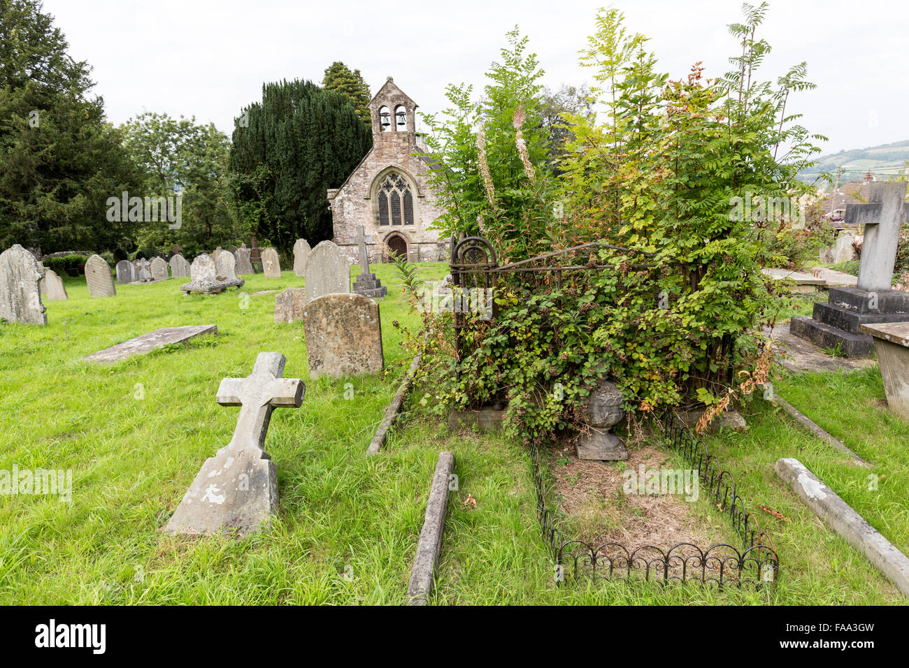 Overgrown grave plot in churchyard with leaning gravestone, Llanfoist ...