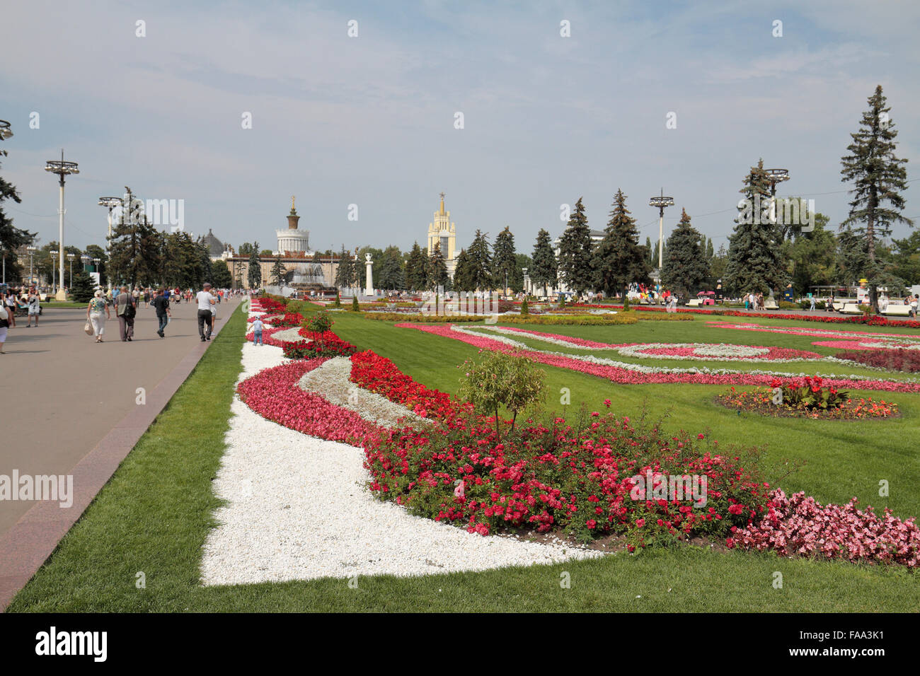 Russia national flower hi-res stock photography and images - Alamy