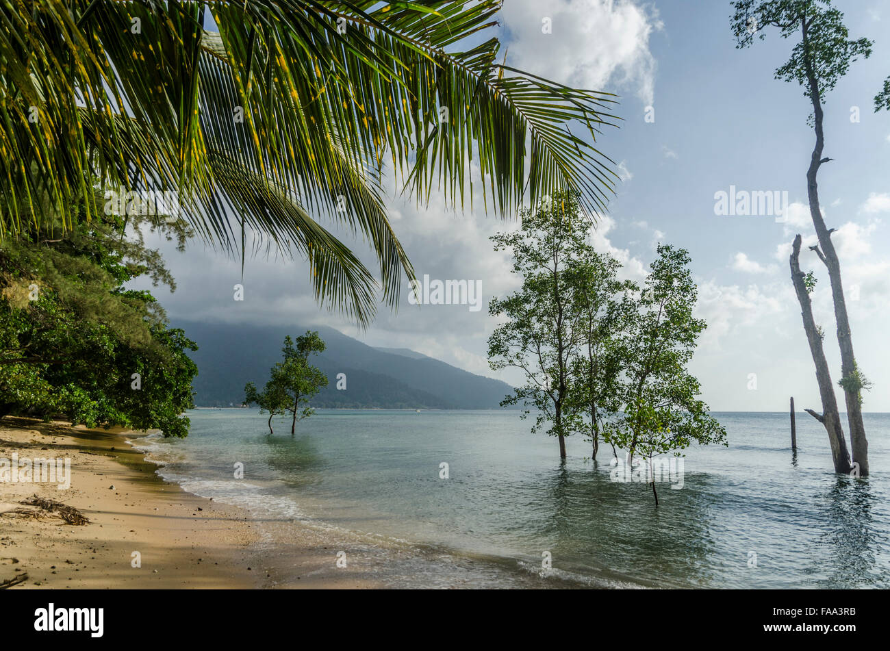 Beach in Tioman Island in Malaysia Stock Photo - Alamy