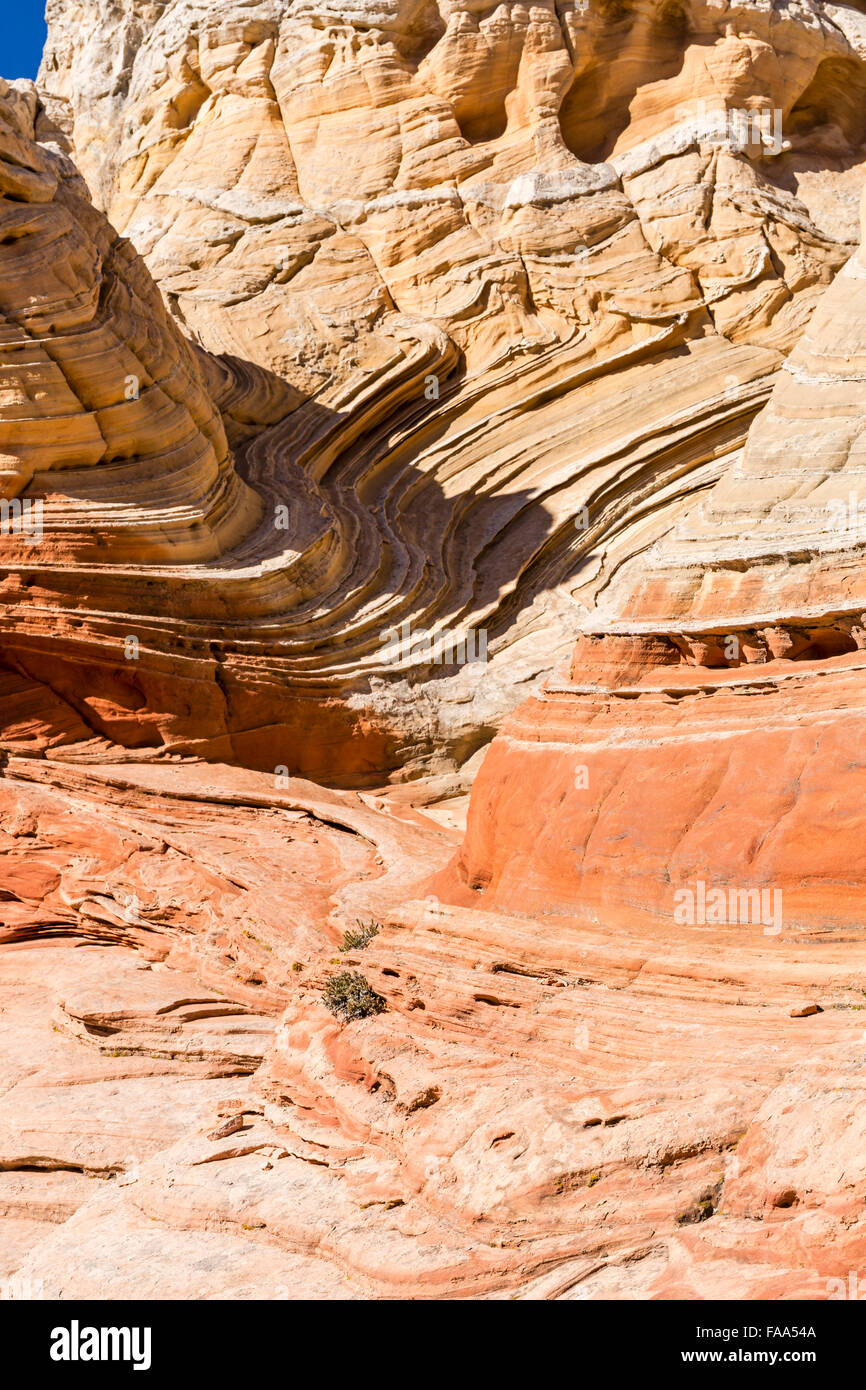 Twisty and curving rocks in the unique and remote White Pocket rock ...