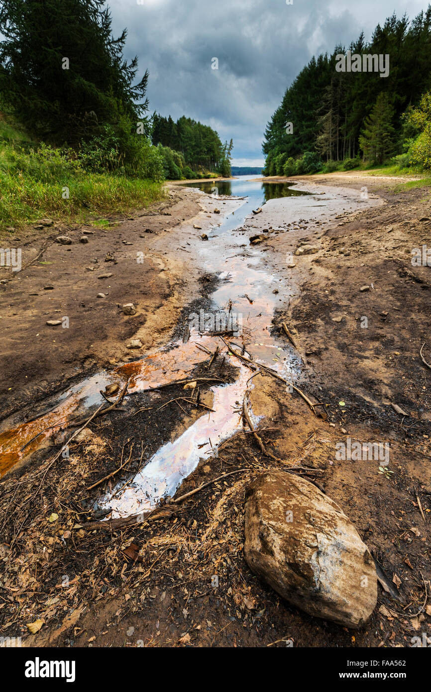 Inlet stream to Kielder Water, Northumberland, England, UK Stock Photo ...