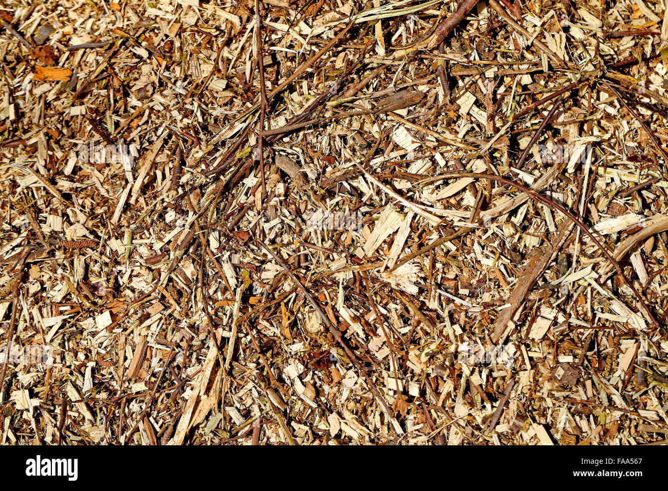 Texture of sawdust hi-res stock photography and images - Alamy