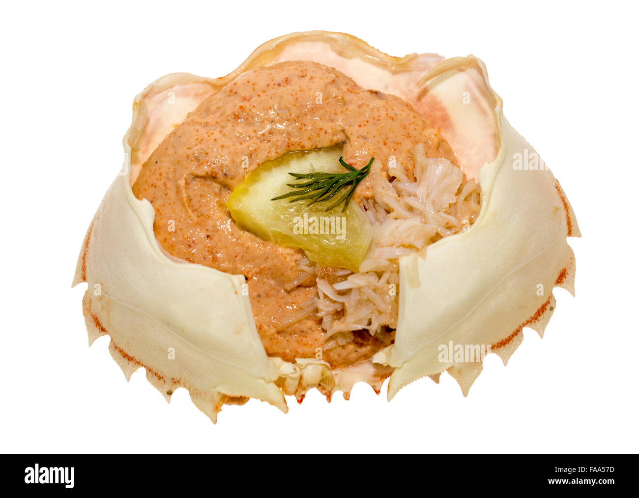 Dressed crab uk Cut Out Stock Images & Pictures - Alamy