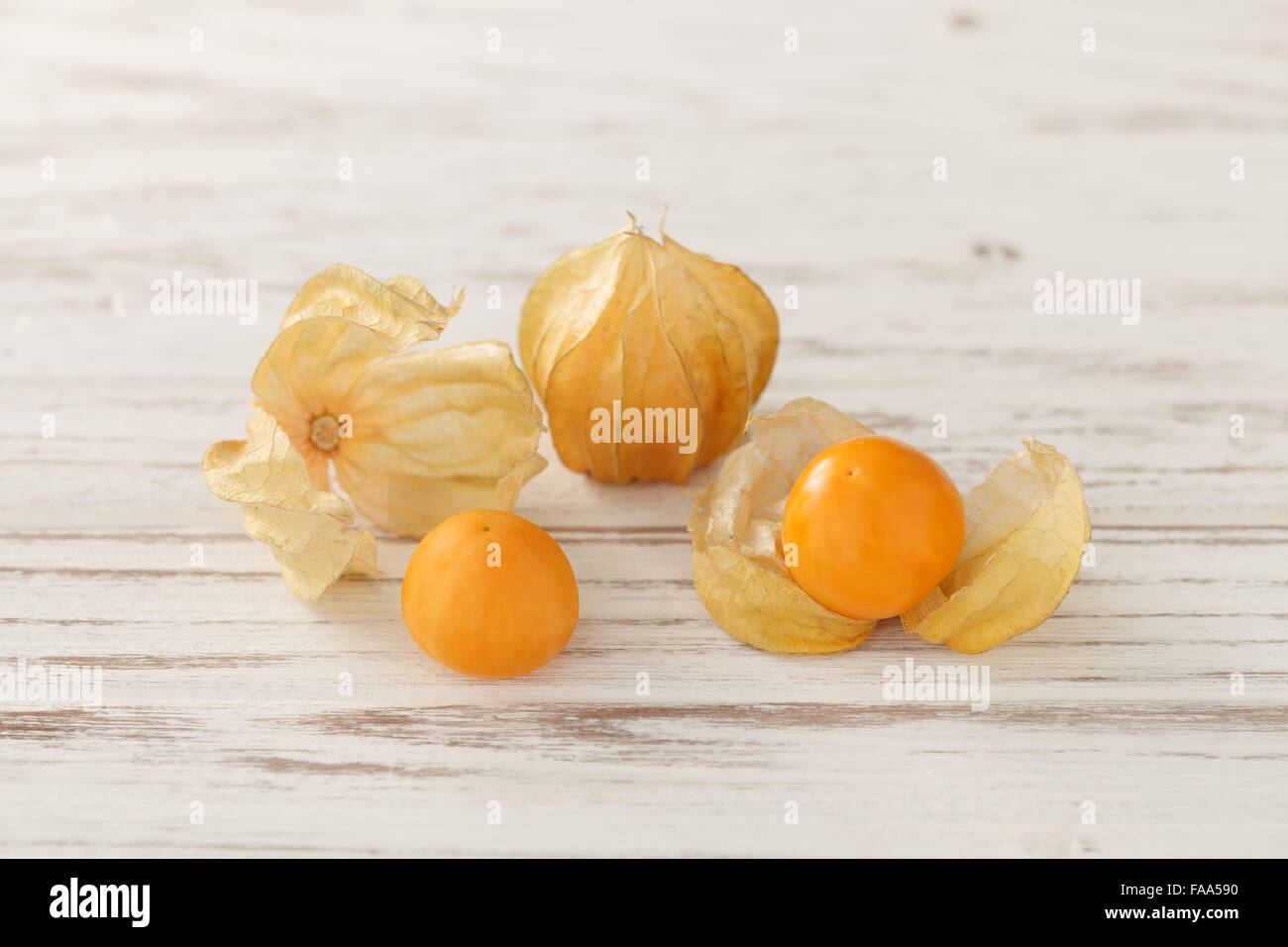 cape gooseberry physalis fruit ground cherry organic food vegetabl ...