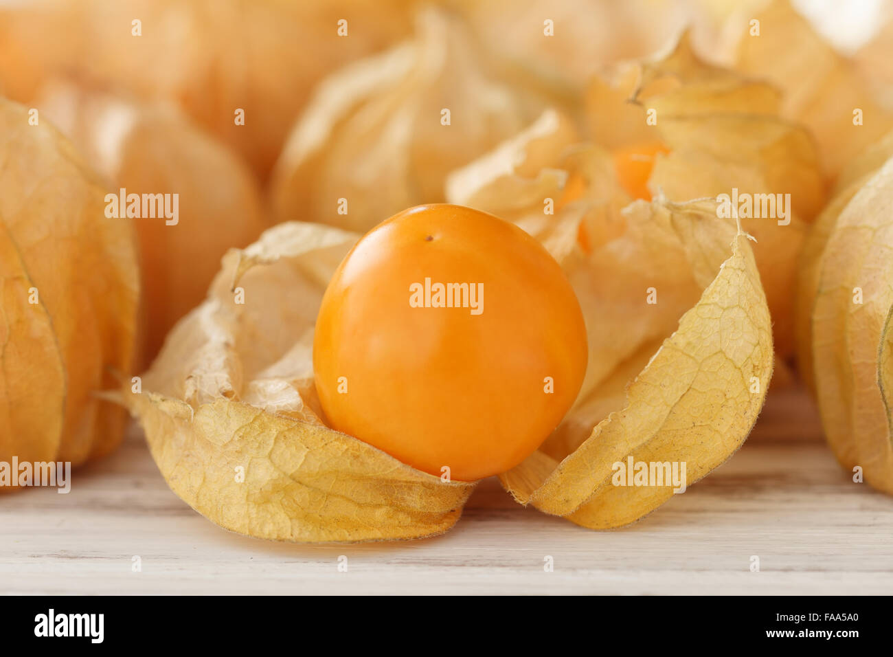 cape gooseberry physalis fruit ground cherry organic food vegetabl ...