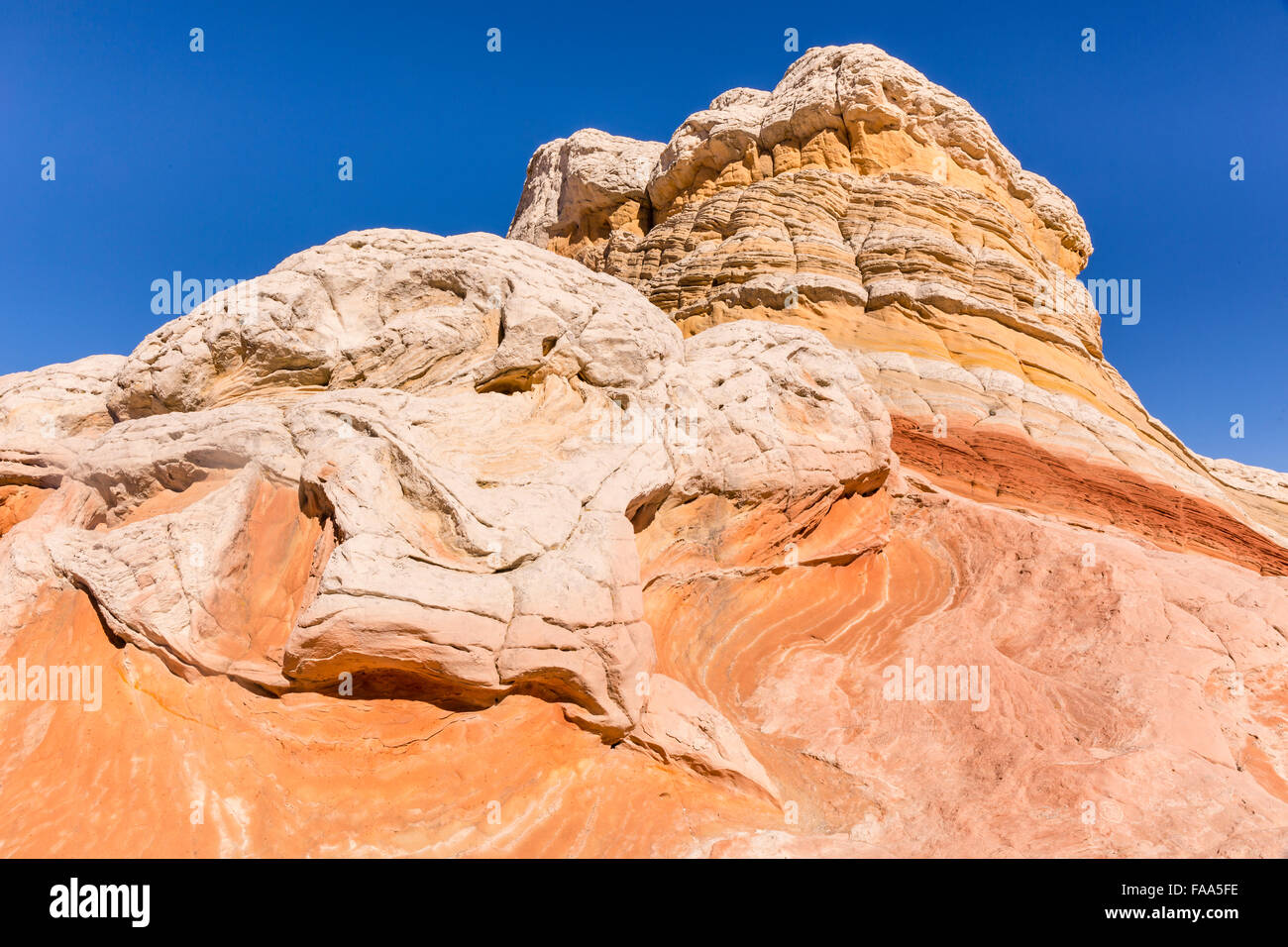 A turtle-shaped rock in the unique and remote White Pocket rock ...