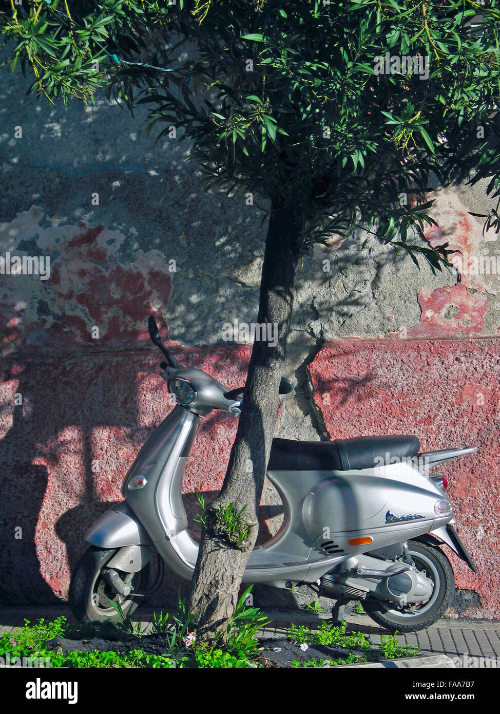Vespa under an olive tree in Italy Stock Photo - Alamy