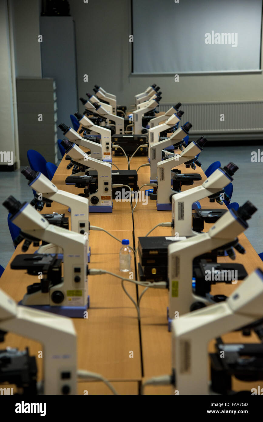 University school hi-res stock photography and images - Alamy