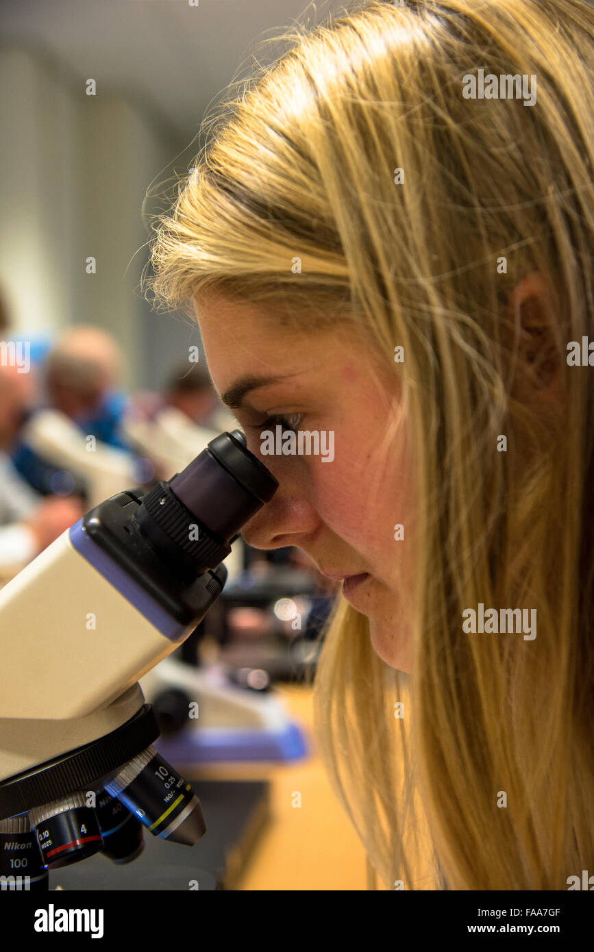 student looking through microscope Stock Photo - Alamy student looking through microscope Stock Photo - Alamy
