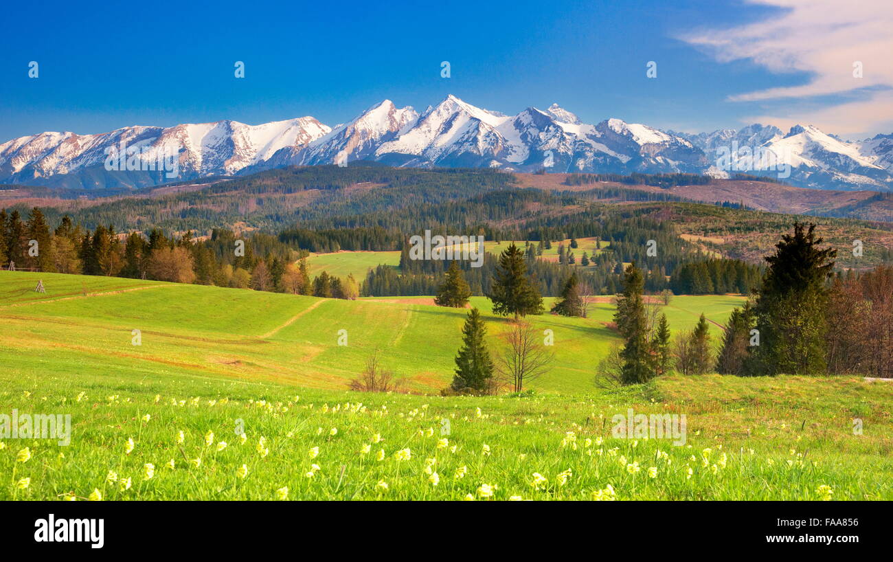 Tatra Mountains, Poland Stock Photo - Alamy