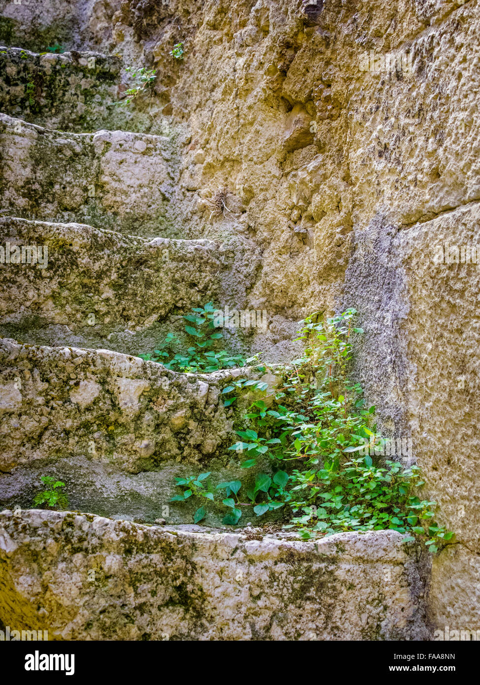 Worn stone steps in Abruzzo, Italy Stock Photo - Alamy