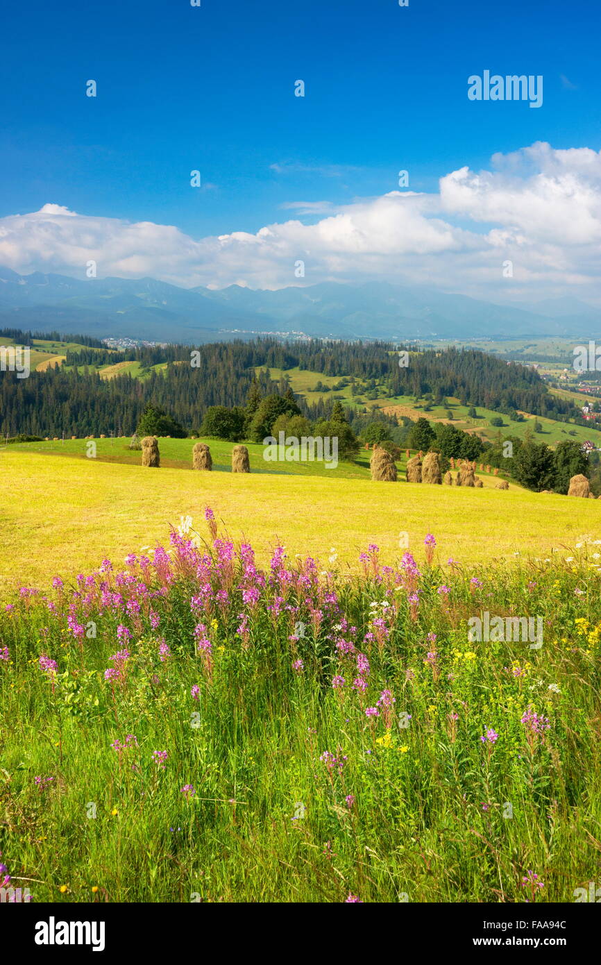 Spring landscape hi-res stock photography and images - Alamy