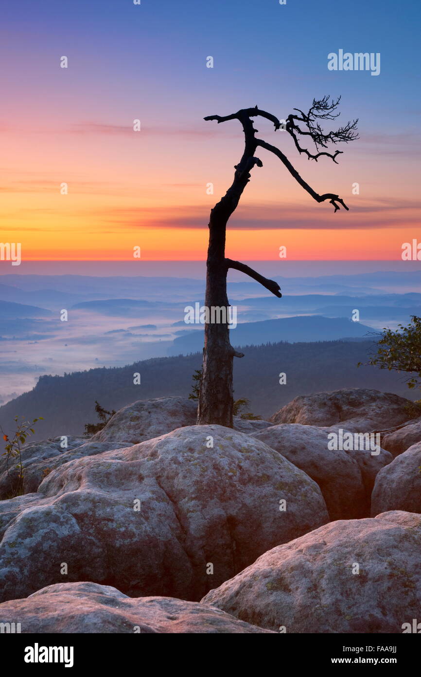 Landscape with tree and mountains hi-res stock photography and images ...