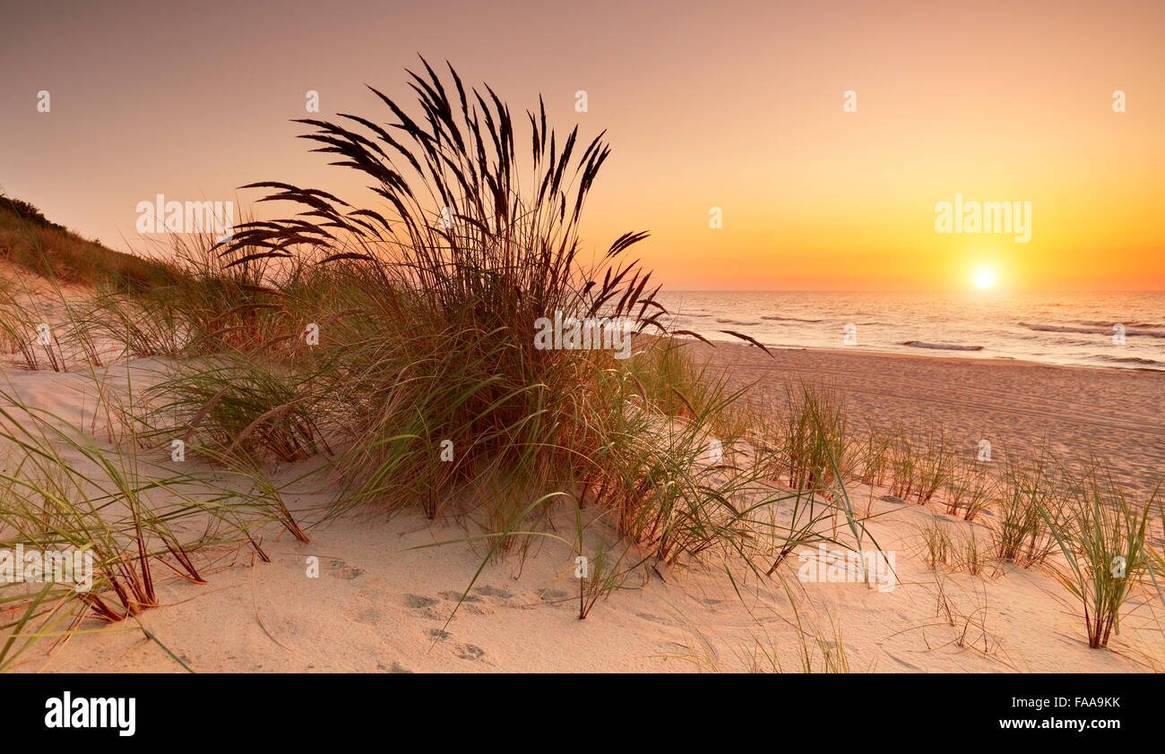Landscape at Baltic beach sunset, Poland Stock Photo - Alamy