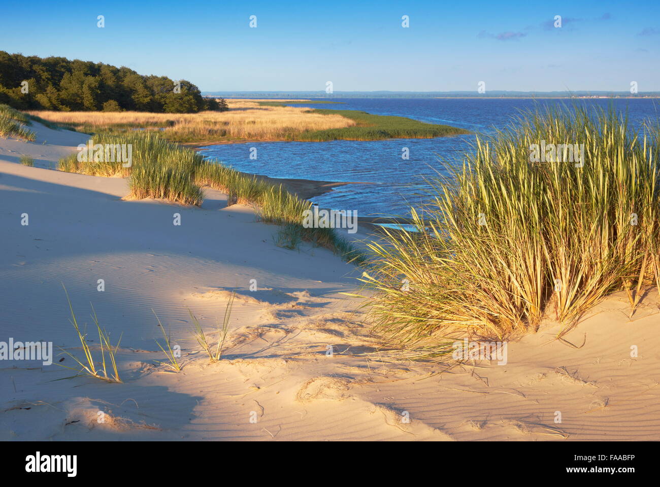 Leba - mooving dunes in the Slowinski National Park, Lebsko Lake ...