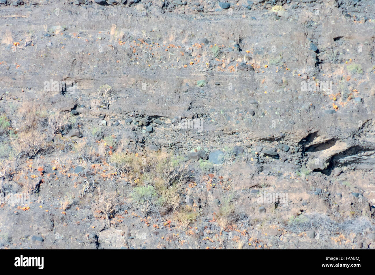 Dry Lava Basaltic Rock Stock Photo - Alamy
