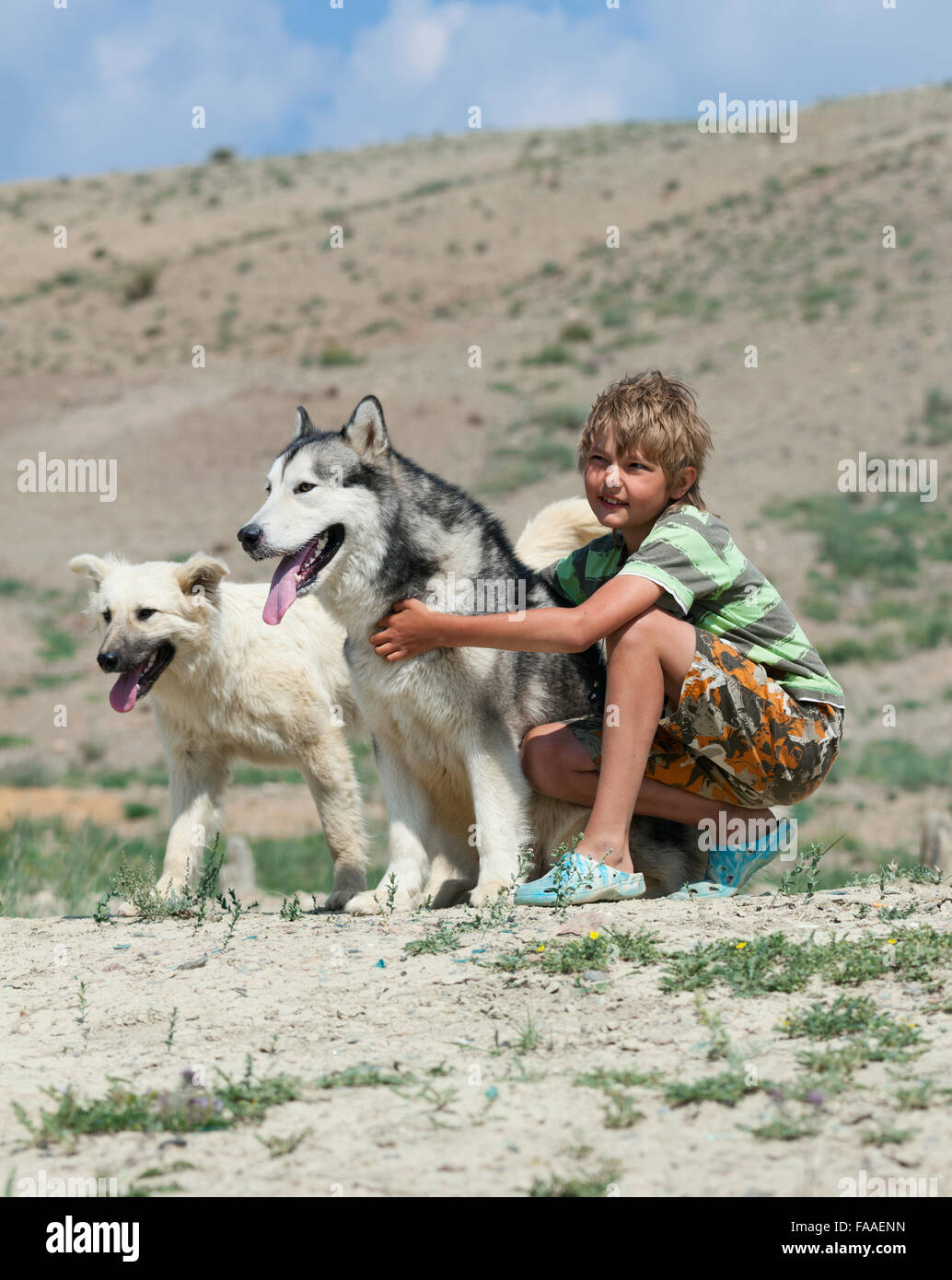 Boy hugging a fluffy dog. Husky dog breed Stock Photo - Alamy