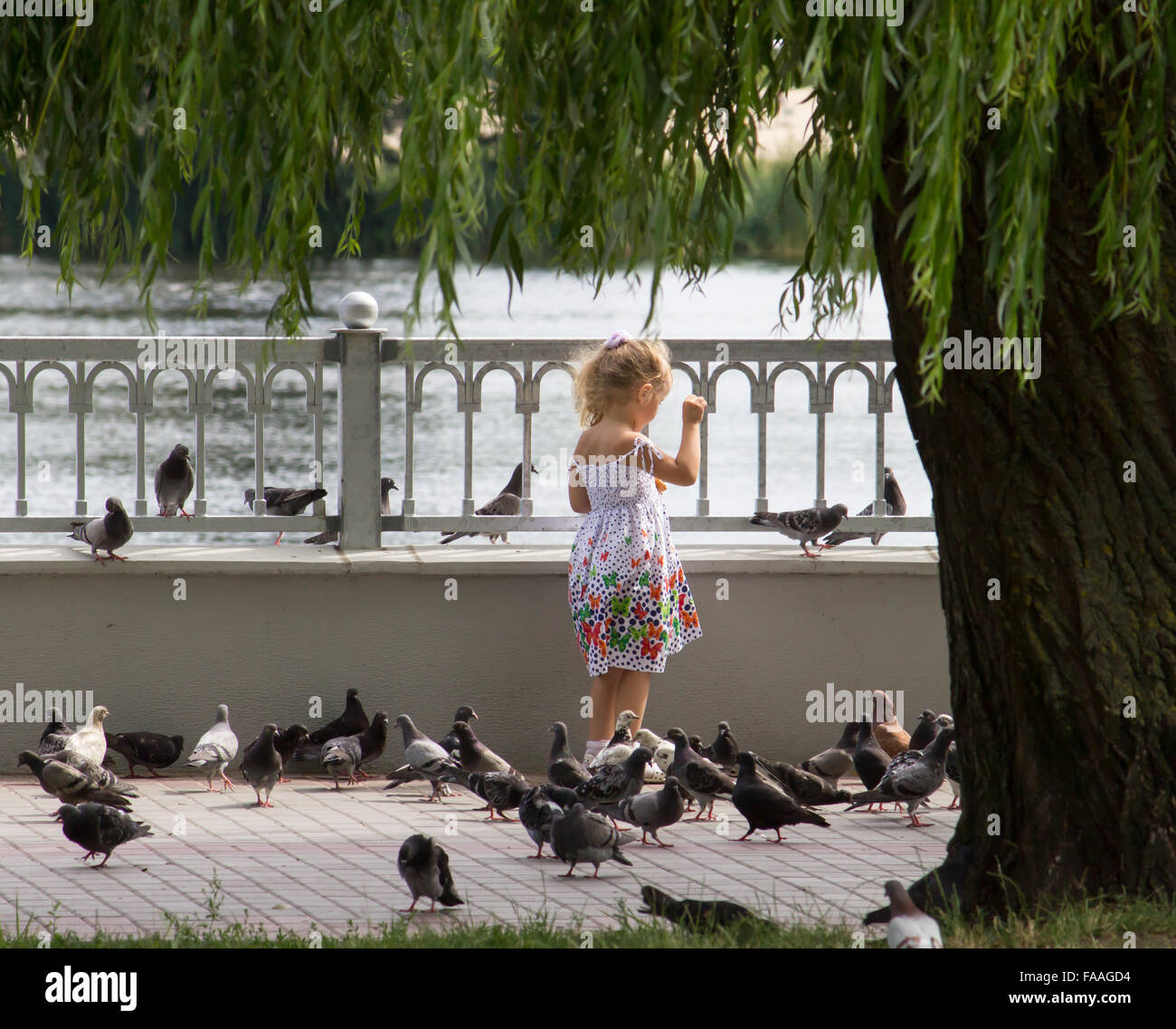 Child with bird hi-res stock photography and images - Alamy