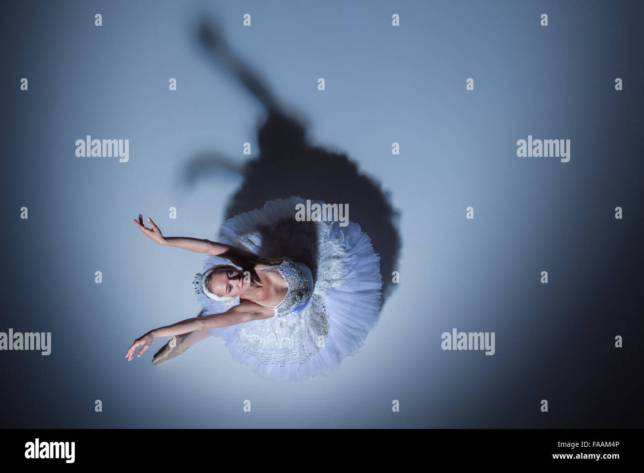 Portrait of the ballerina in ballet tatu on blue background Stock Photo ...